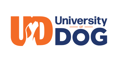 In-Person vs. Online Dog Training: What to Expect Training Dogs